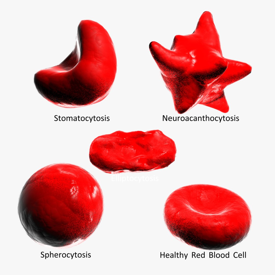 3D Red Blood Cells - TurboSquid 1940665
