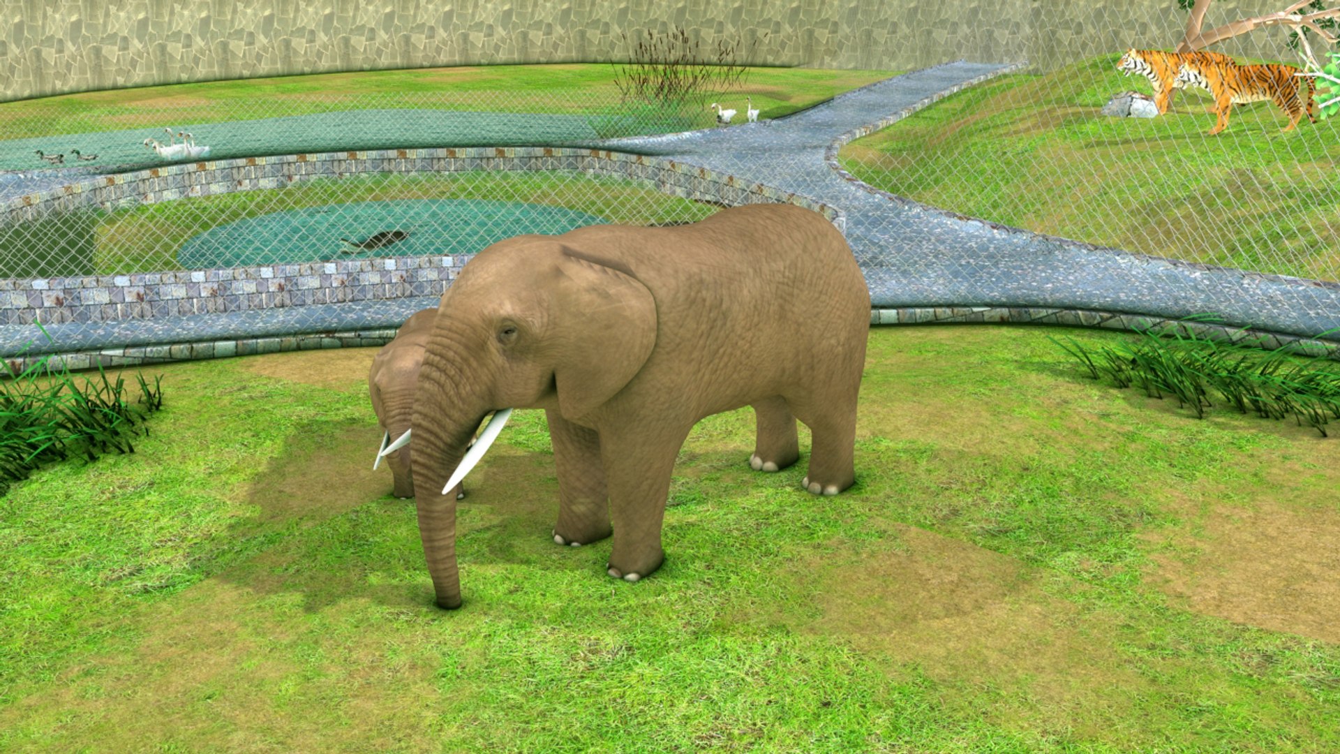 Zoo Park 3d Model