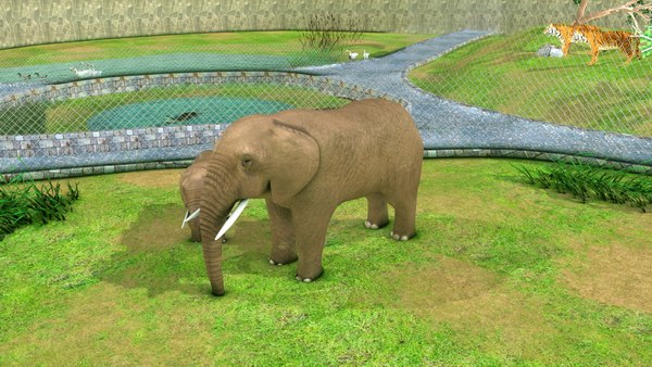 Free 3D Zoo Models | TurboSquid