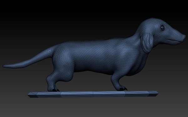 3D model Dog Collection - TurboSquid 1825289