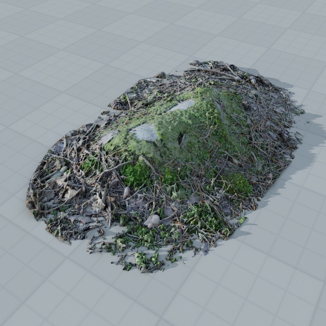 Scan Forest Ground 3d Model