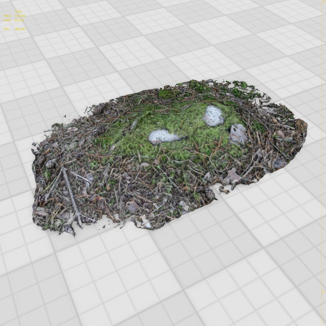 Scan Forest Ground 3d Model