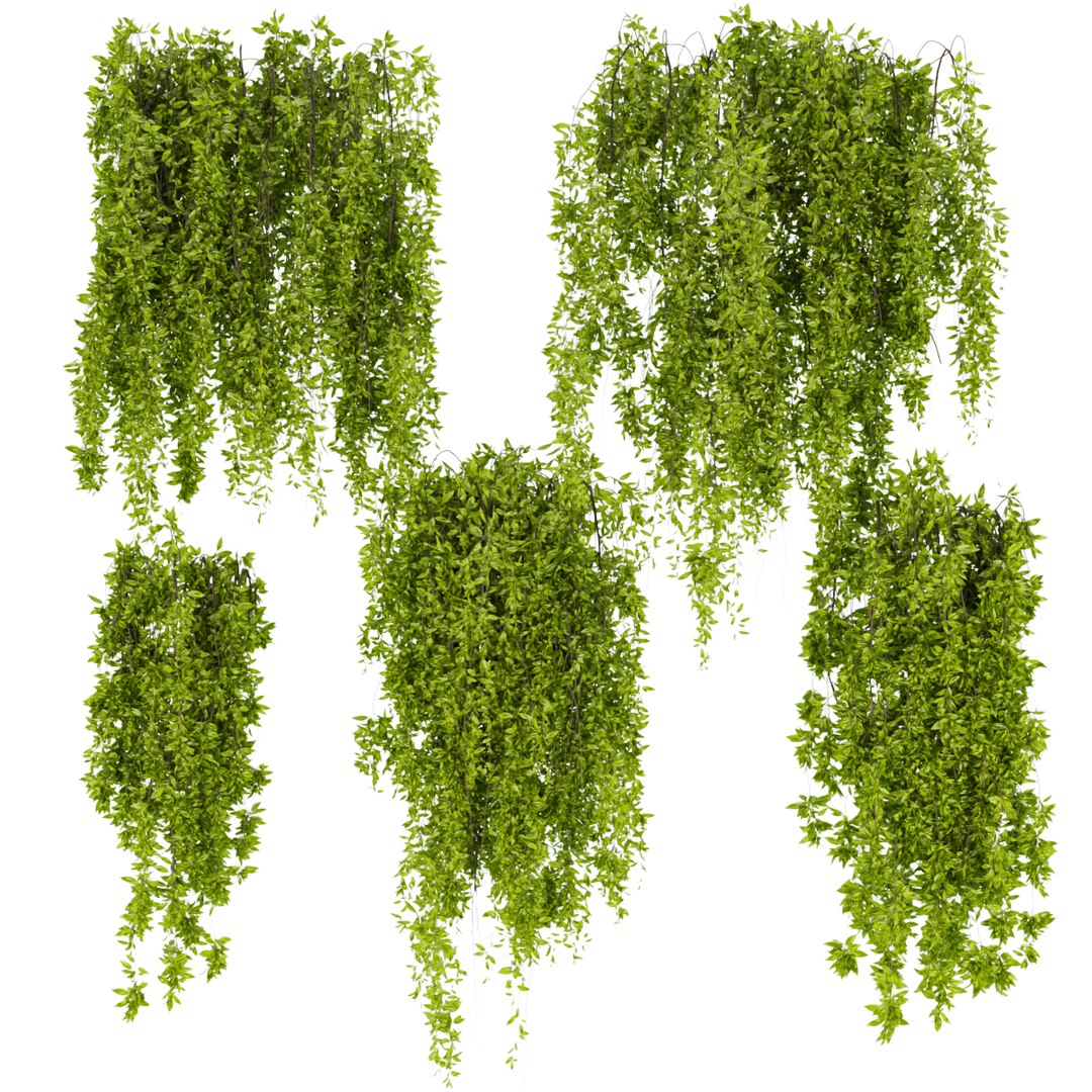 Collection Plant Vol 281 - Outdoor - Ivy - Leaf - 3dmodel - 3dmax - Fbx ...