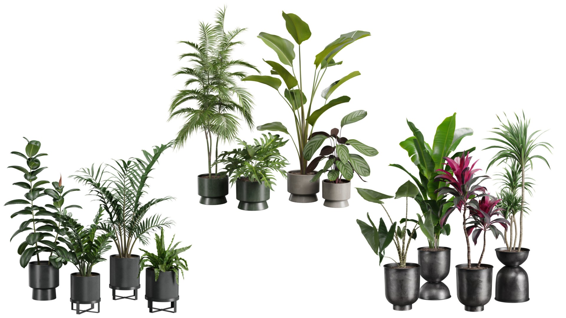 Indoor Plants Collection 05 3D Model - TurboSquid 2050250