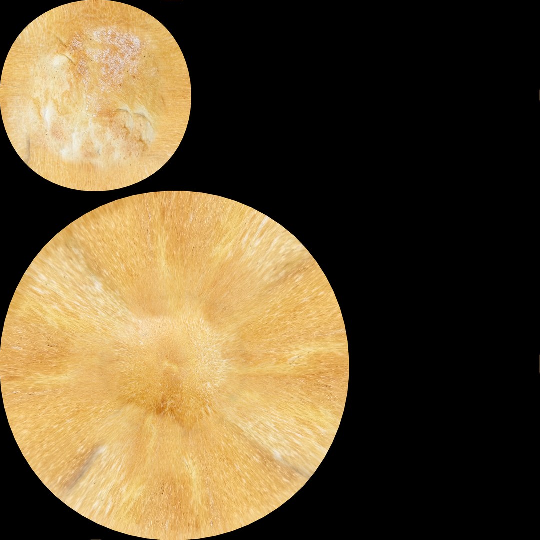 Italian turtle bread and focaccia bread 3D model - TurboSquid 2074267