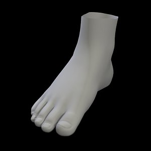 Foot 3D Models for Download | TurboSquid