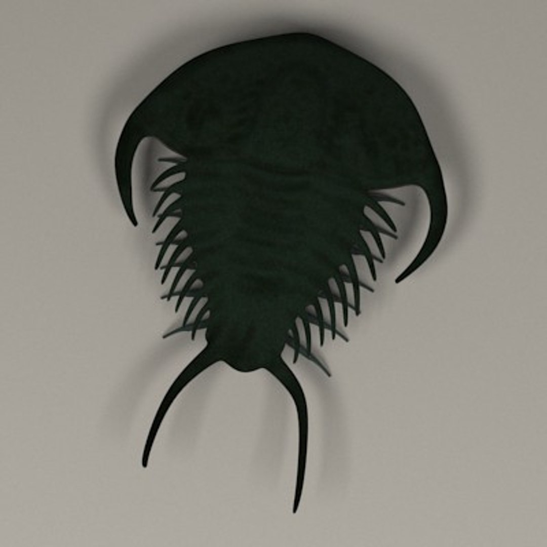 3d Trilobite Tri