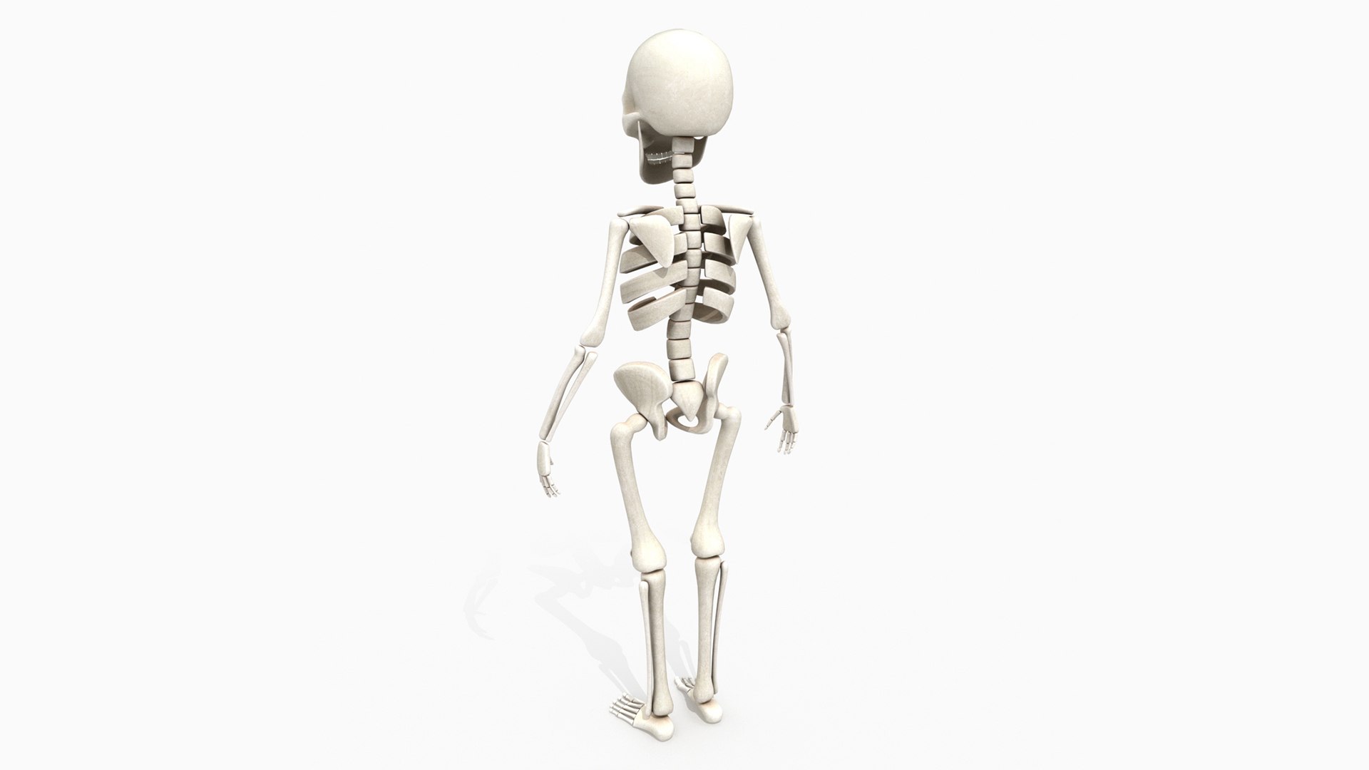 3D Cartoon Skeleton Model - TurboSquid 1862746