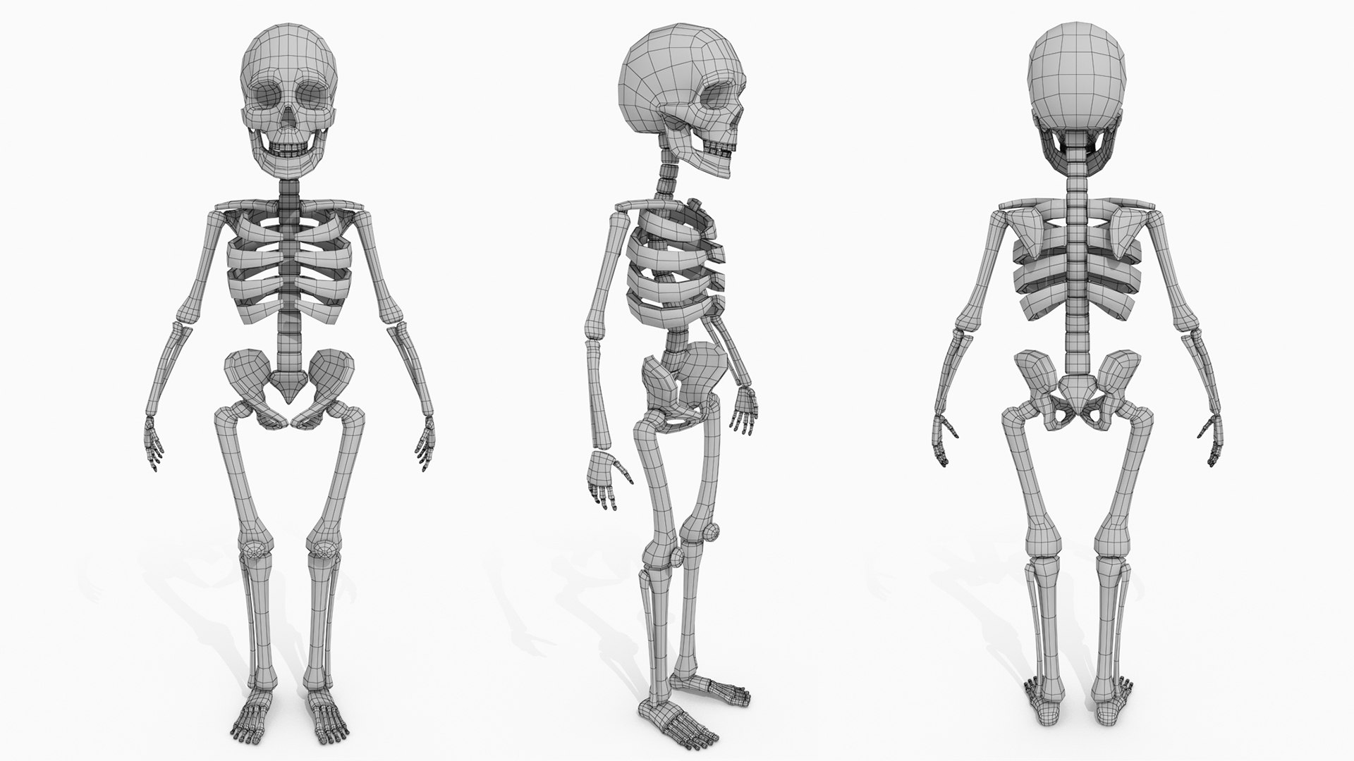 3D Cartoon Skeleton Model - TurboSquid 1862746