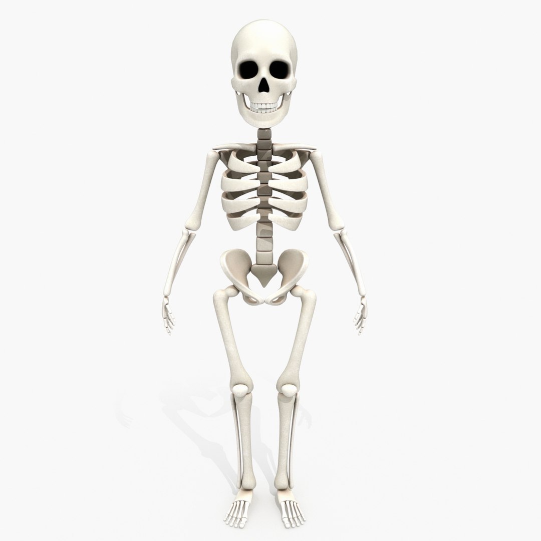 3D Cartoon Skeleton Model - TurboSquid 1862746