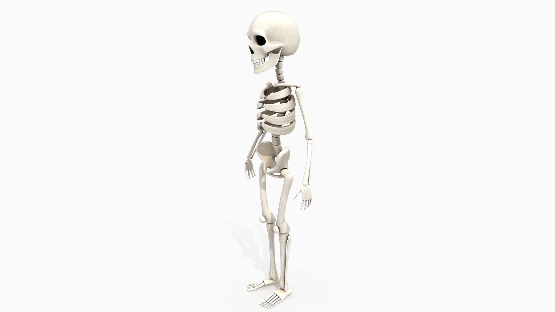 3D Cartoon Skeleton Model - TurboSquid 1862746