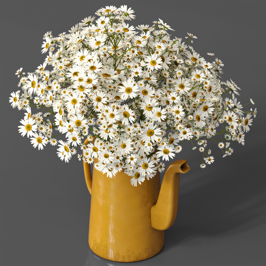 3D Model Bouquet01-chamomile - TurboSquid 1849377