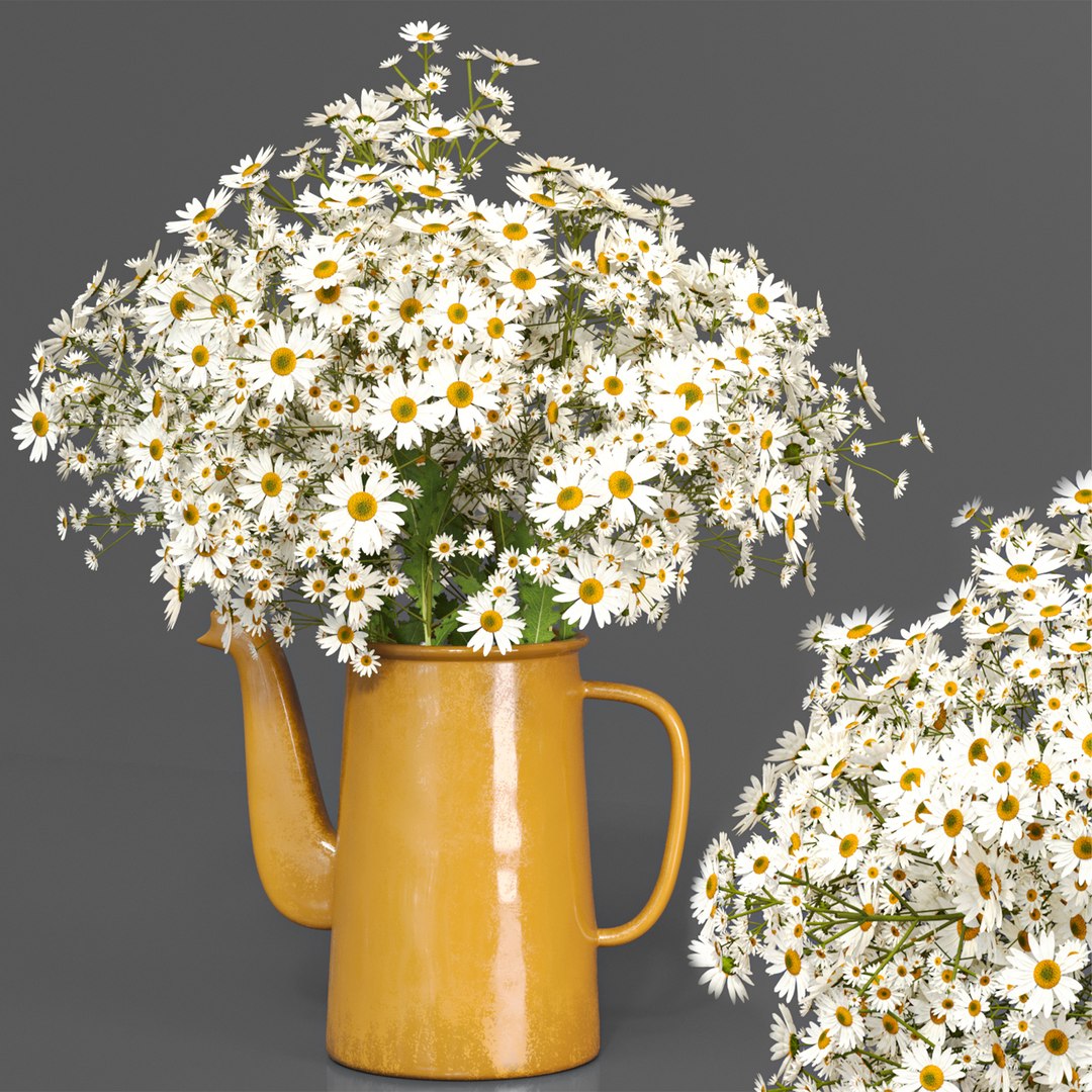3D Model Bouquet01-chamomile - TurboSquid 1849377