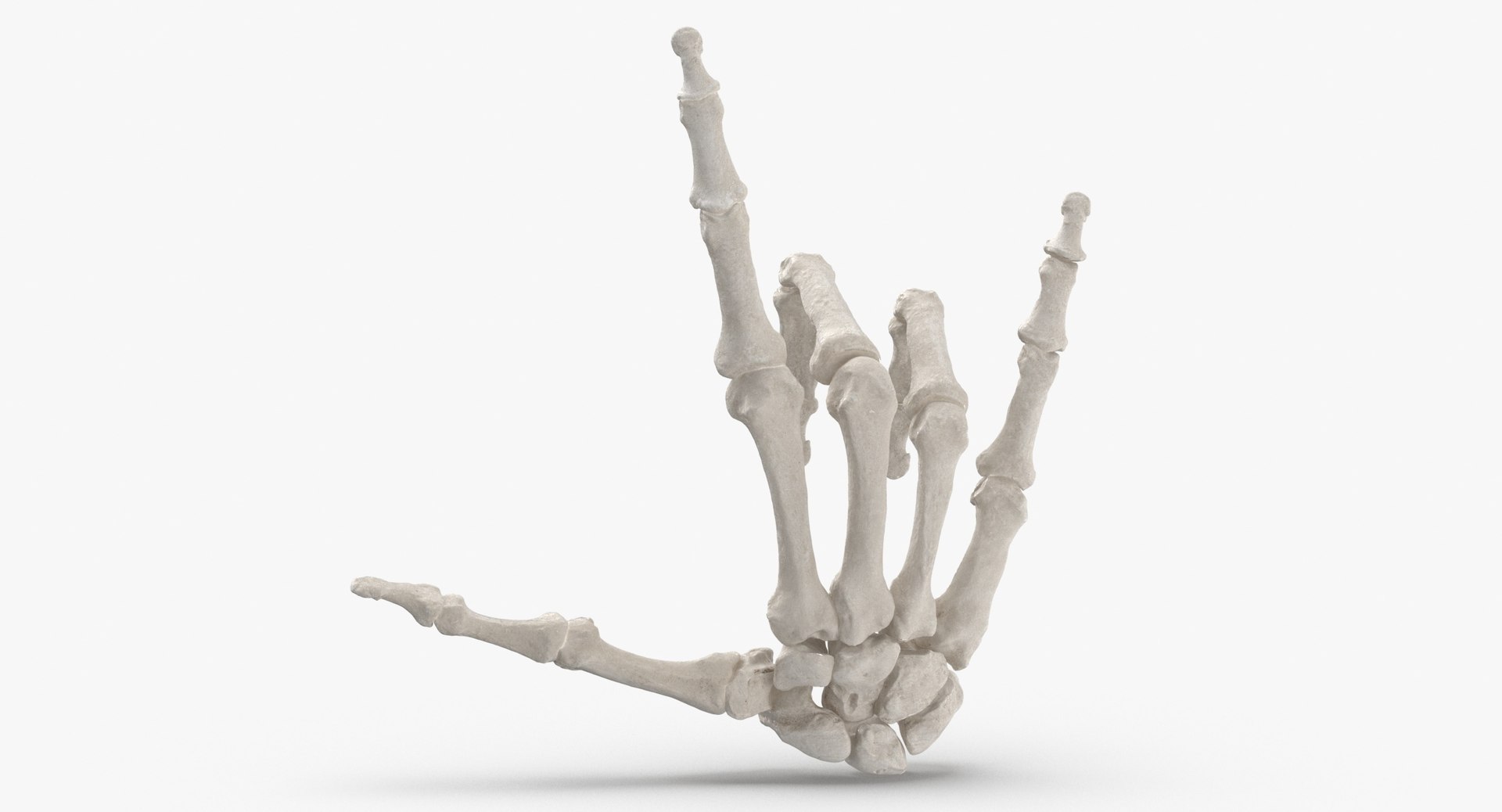 Human Hand Bones I Love You Sign White and Yellow Collection 01 - 2 ...