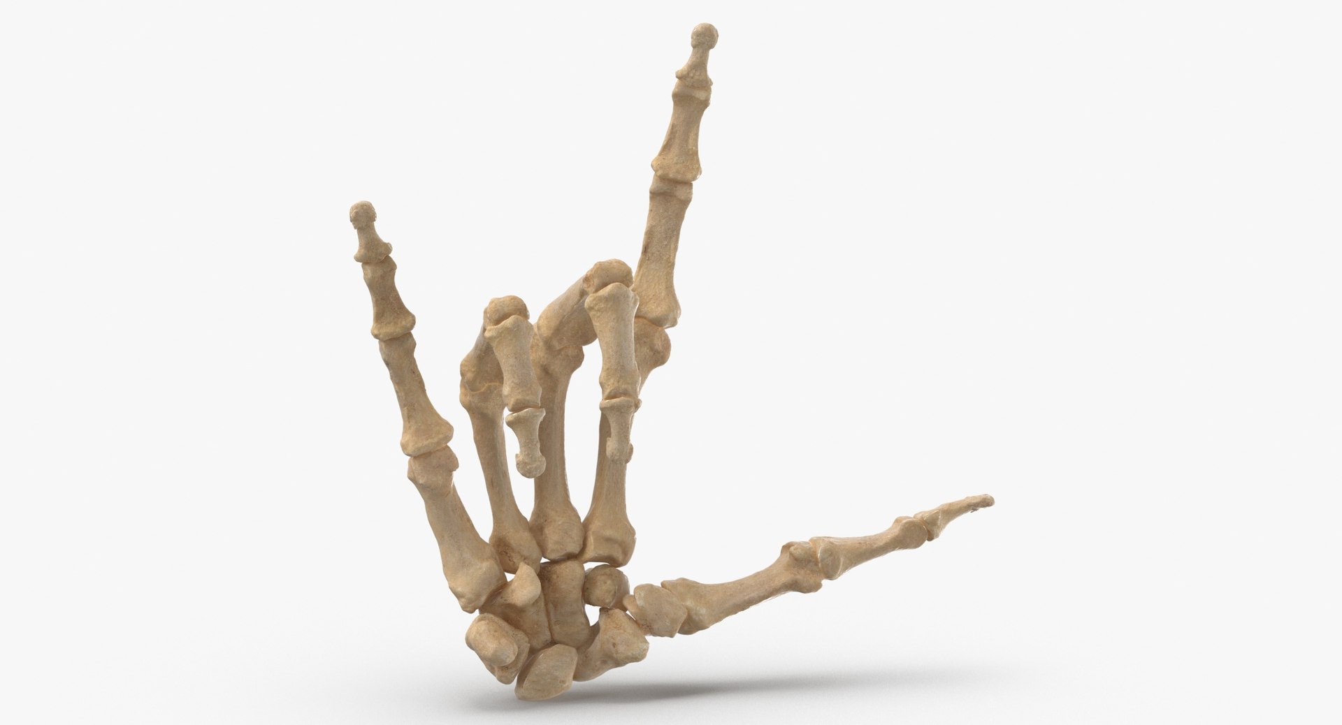 Human Hand Bones I Love You Sign White and Yellow Collection 01 - 2 ...