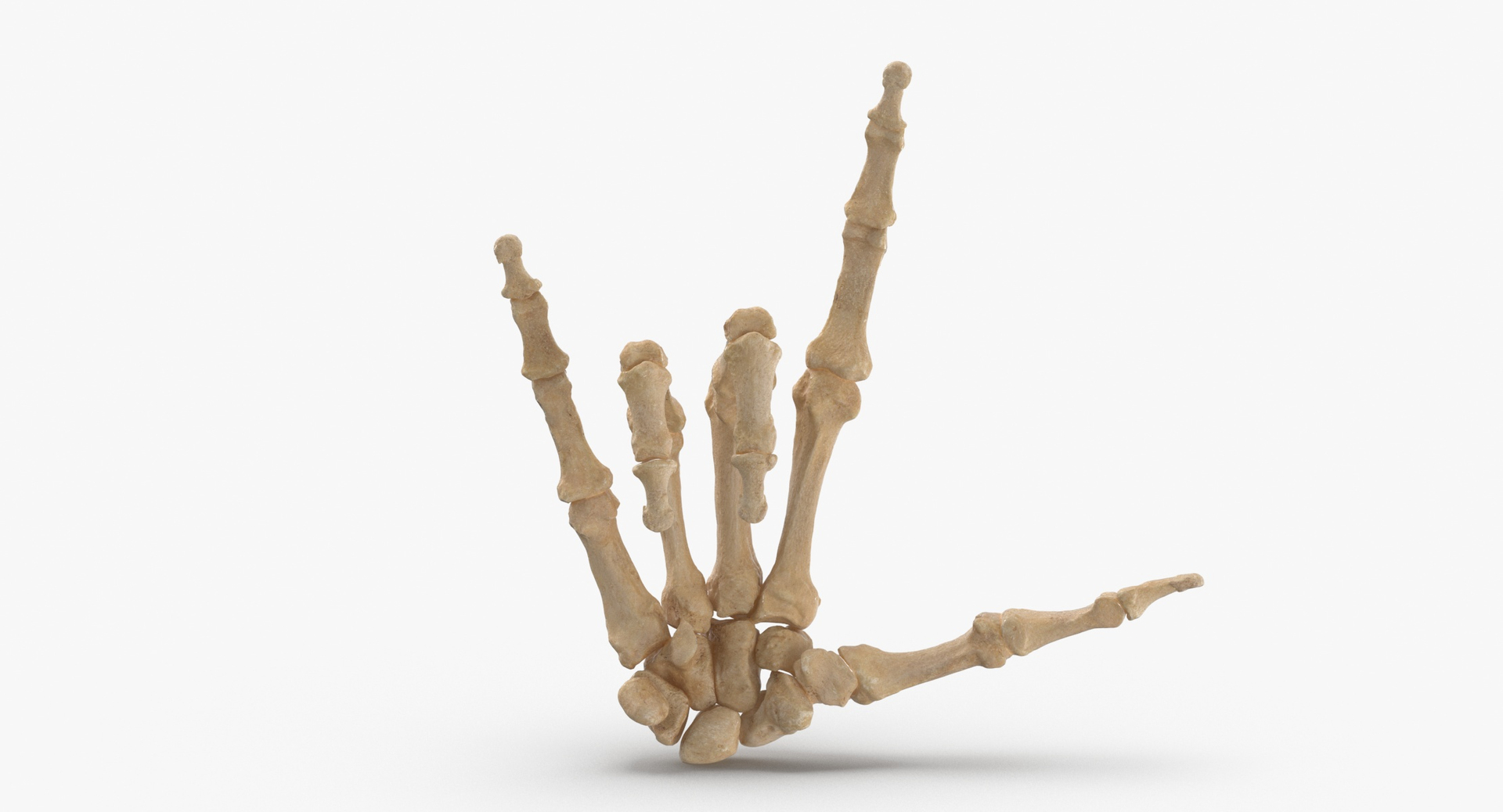 Human Hand Bones I Love You Sign White and Yellow Collection 01 - 2 ...