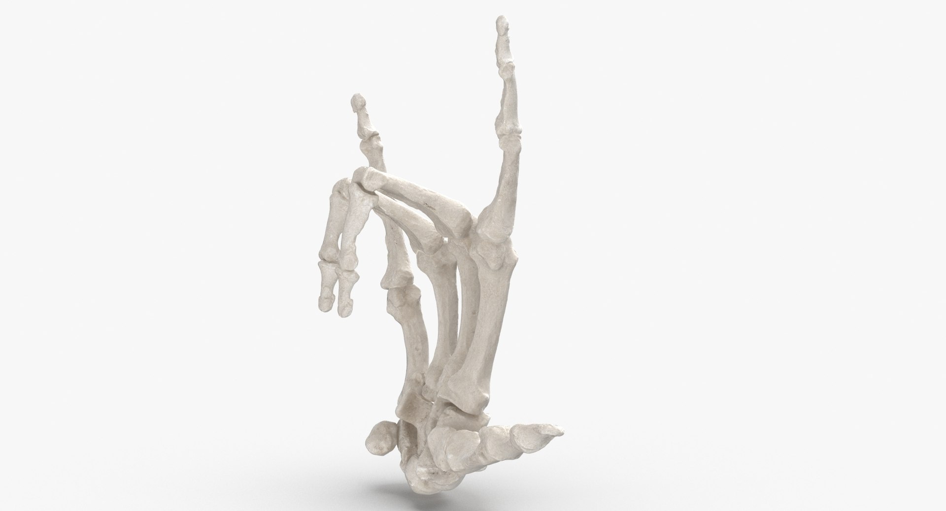 Human Hand Bones I Love You Sign White and Yellow Collection 01 - 2 ...