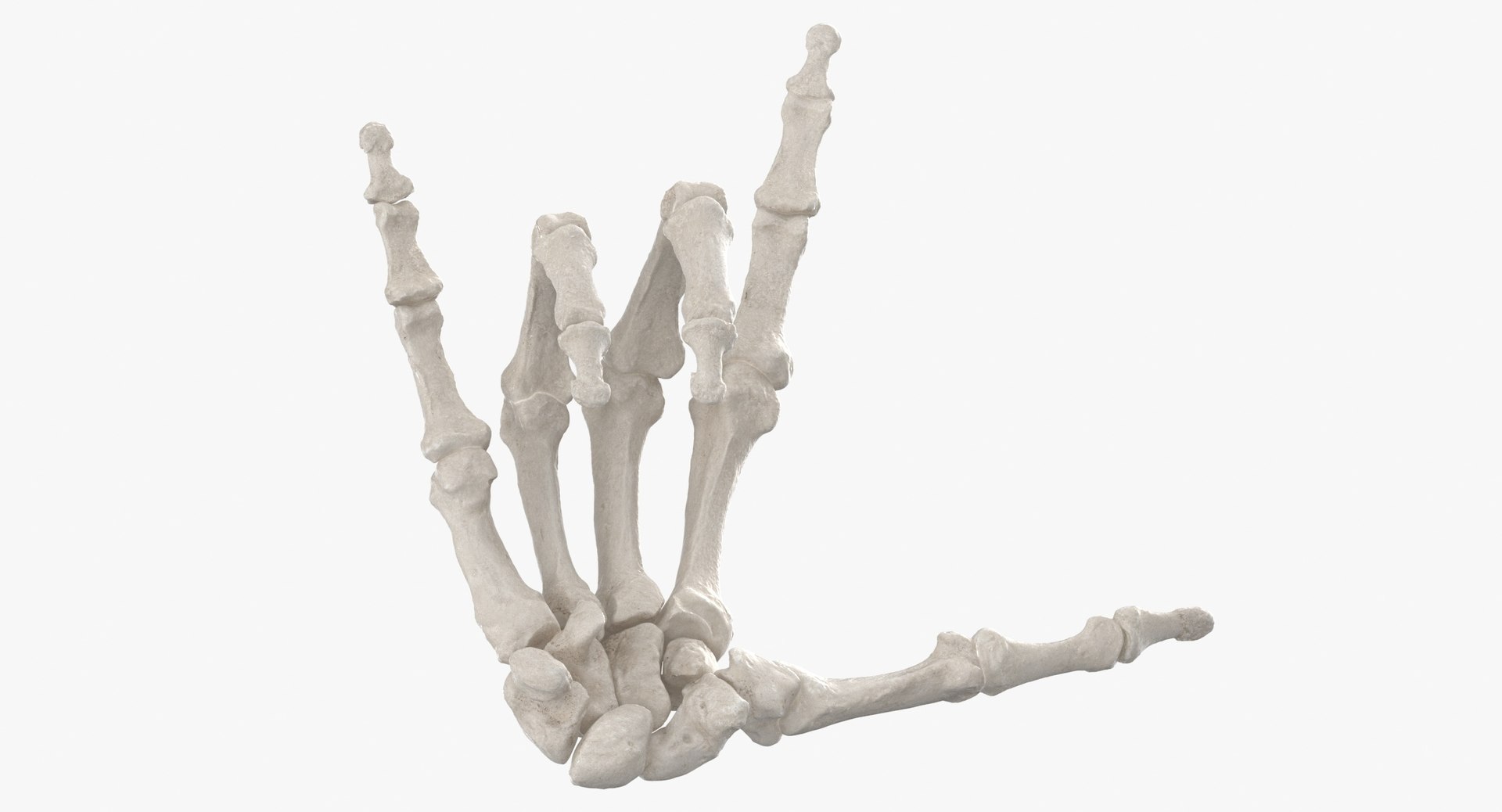 Human Hand Bones I Love You Sign White and Yellow Collection 01 - 2 ...