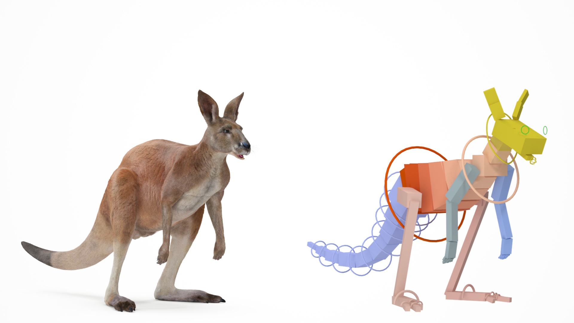 3D Kangaroo Fur Animated Rigged - TurboSquid 2325572