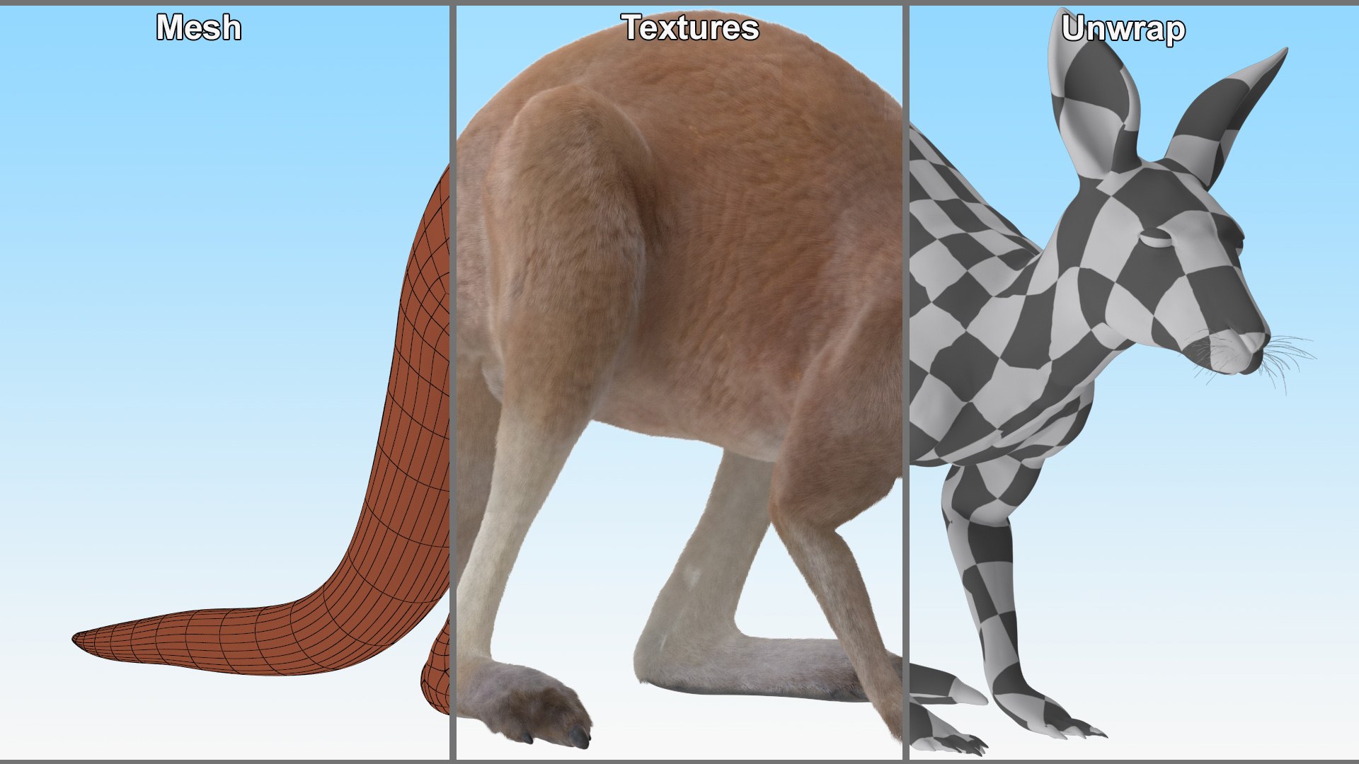 3D Kangaroo Fur Animated Rigged - TurboSquid 2325572