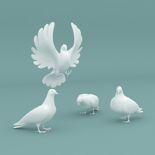 Fully Rigged low poly Dove model - TurboSquid 1751977