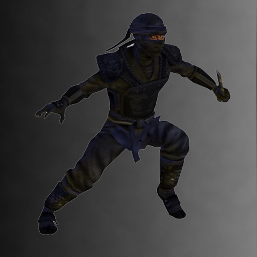 3d Model Ninja Kit