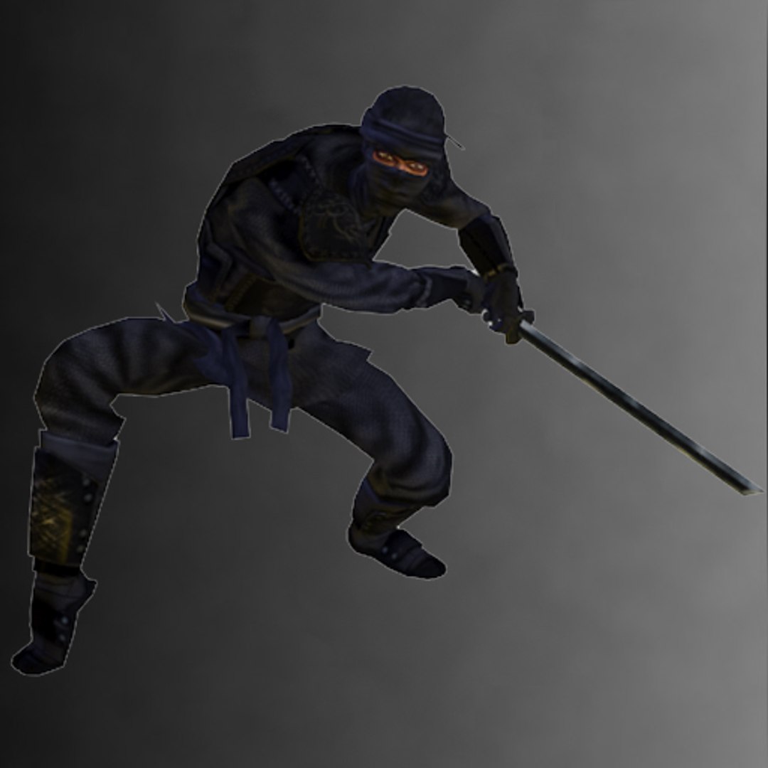 3d Model Ninja Kit