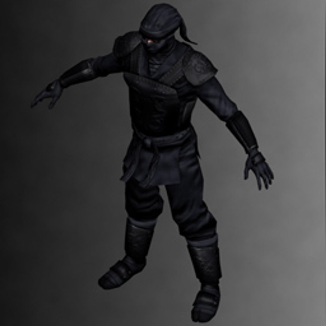 3d Model Ninja Kit