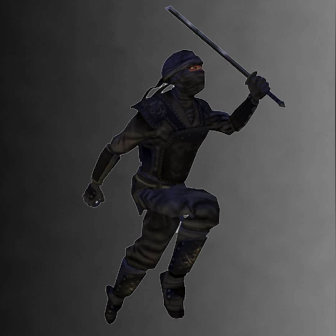 3d Model Ninja Kit