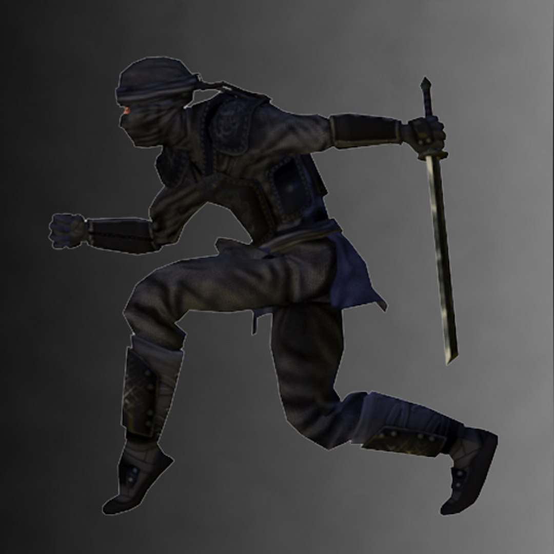 3d Model Ninja Kit