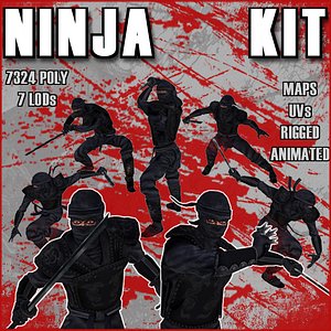 Animated And Rigged 3D Ninja Models For Download | TurboSquid