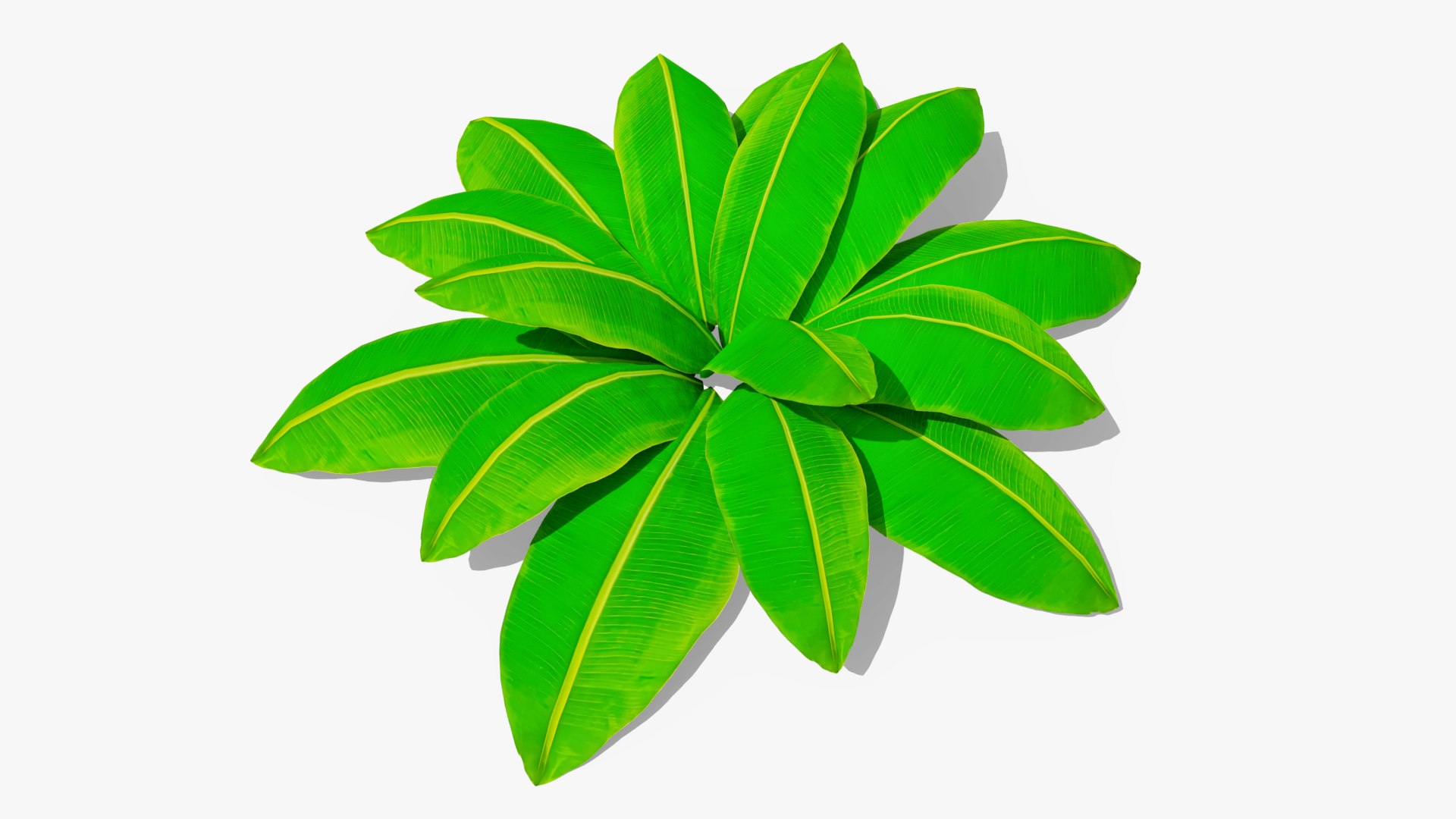 Stylized Cartoon Fern V1 3D - TurboSquid 2091031