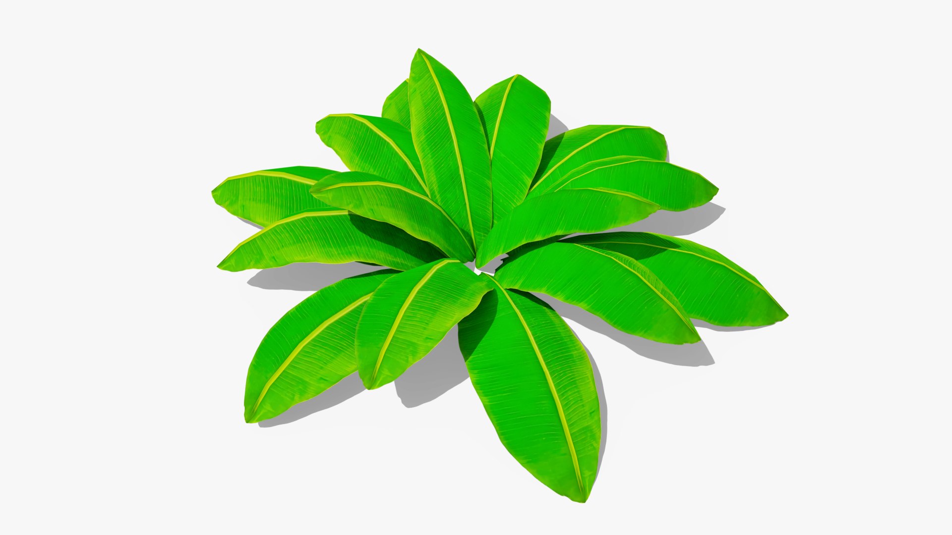 Stylized Cartoon Fern V1 3D - TurboSquid 2091031