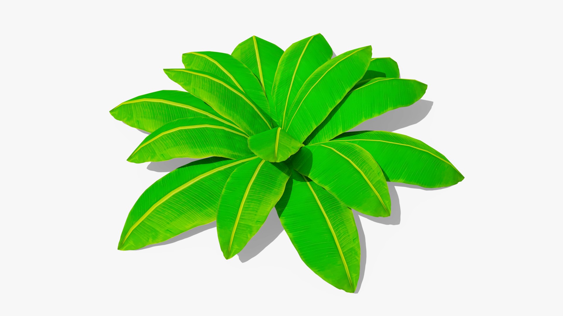 Stylized Cartoon Fern V1 3D - TurboSquid 2091031