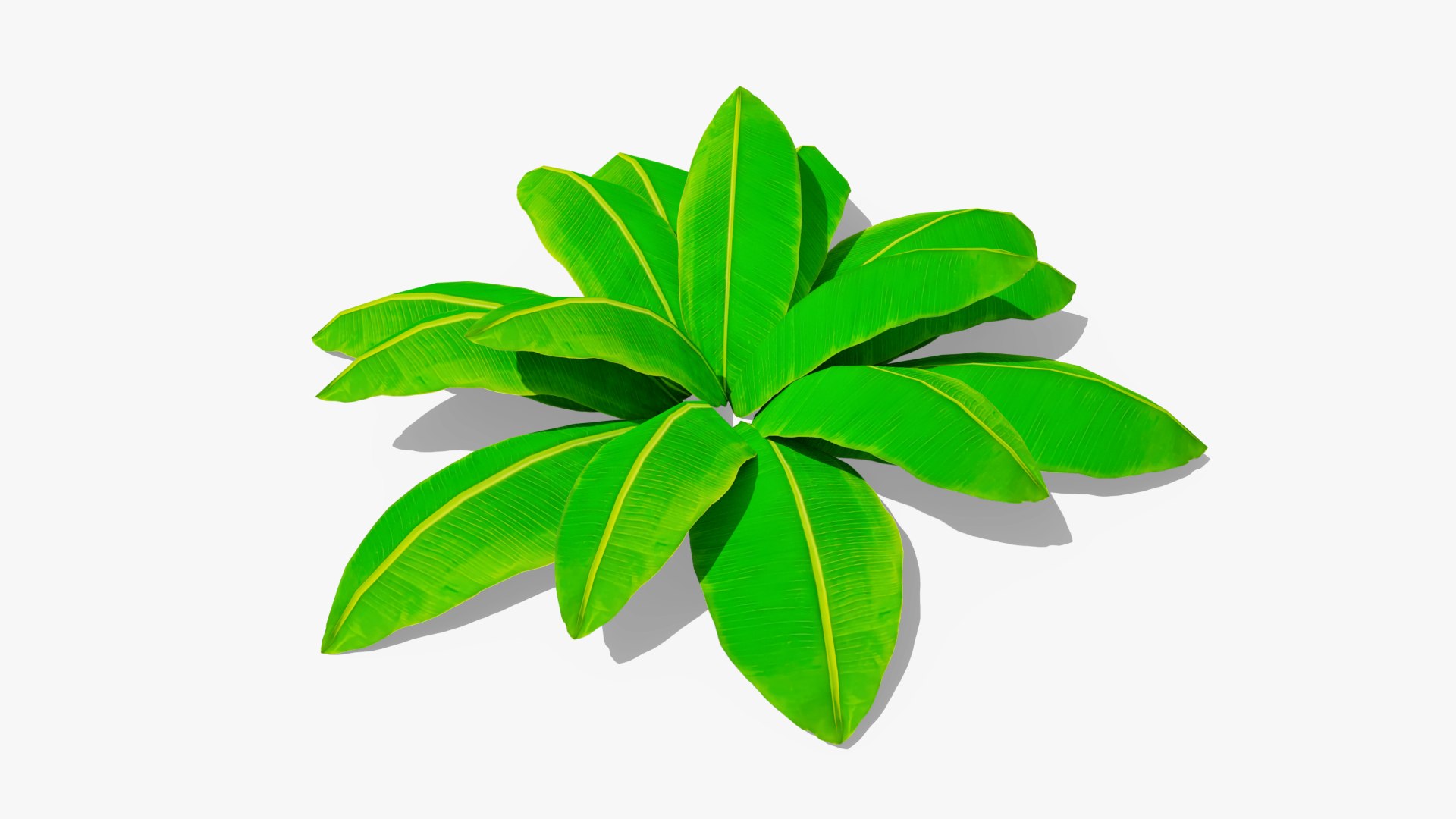 Stylized Cartoon Fern V1 3D - TurboSquid 2091031