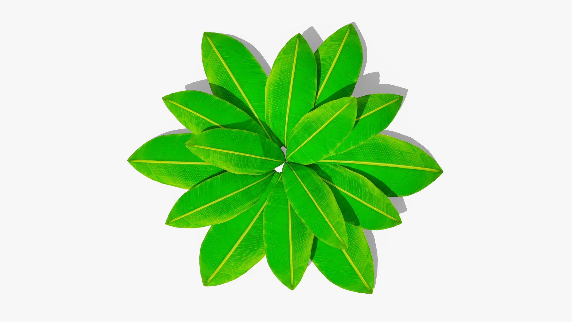 Stylized Cartoon Fern V1 3D - TurboSquid 2091031