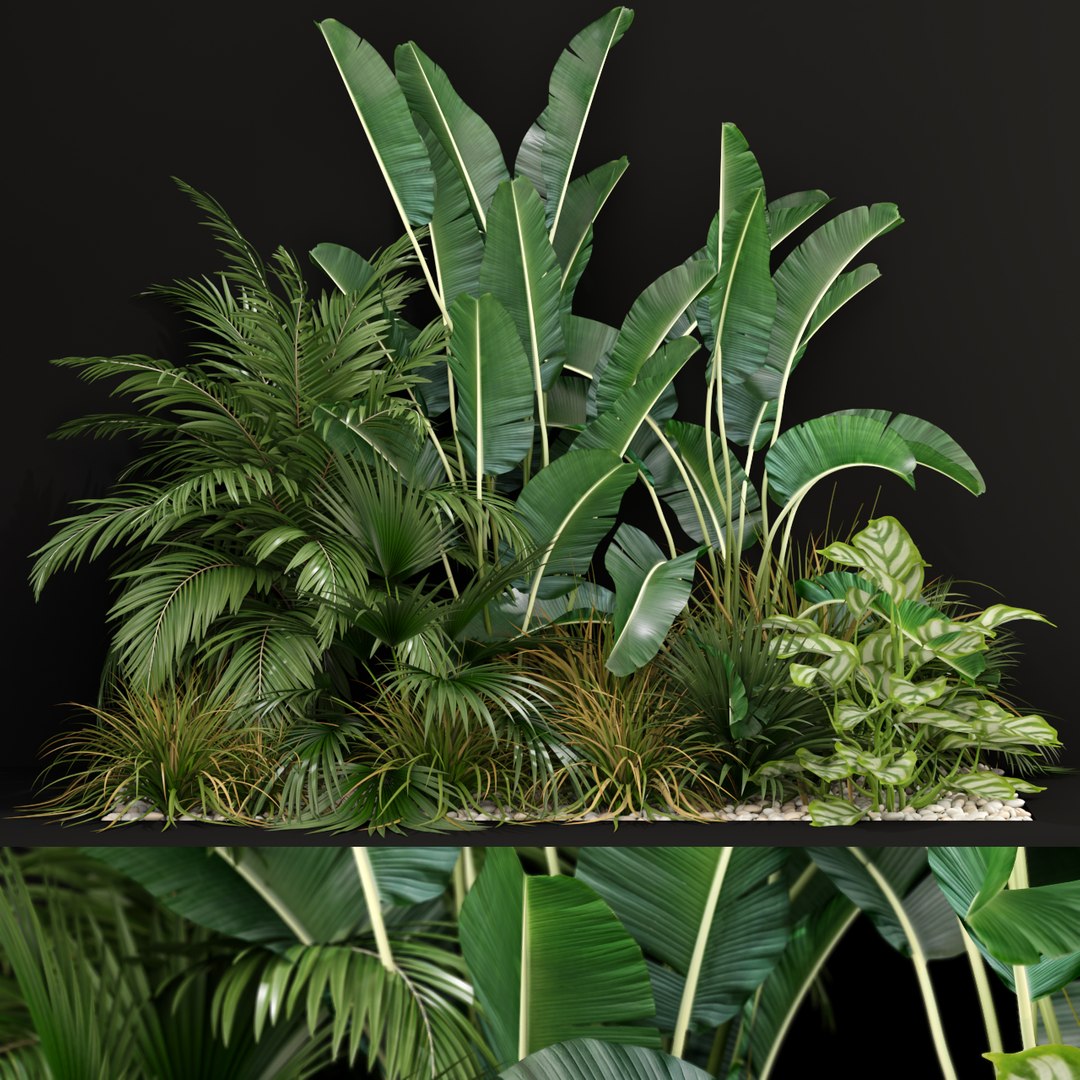 3D plants - TurboSquid 1528025