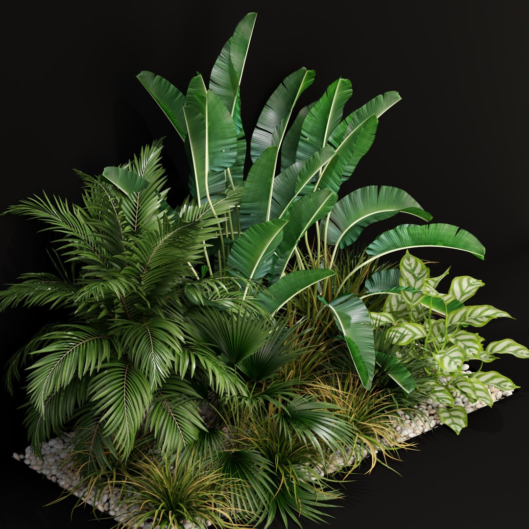 3D plants - TurboSquid 1528025