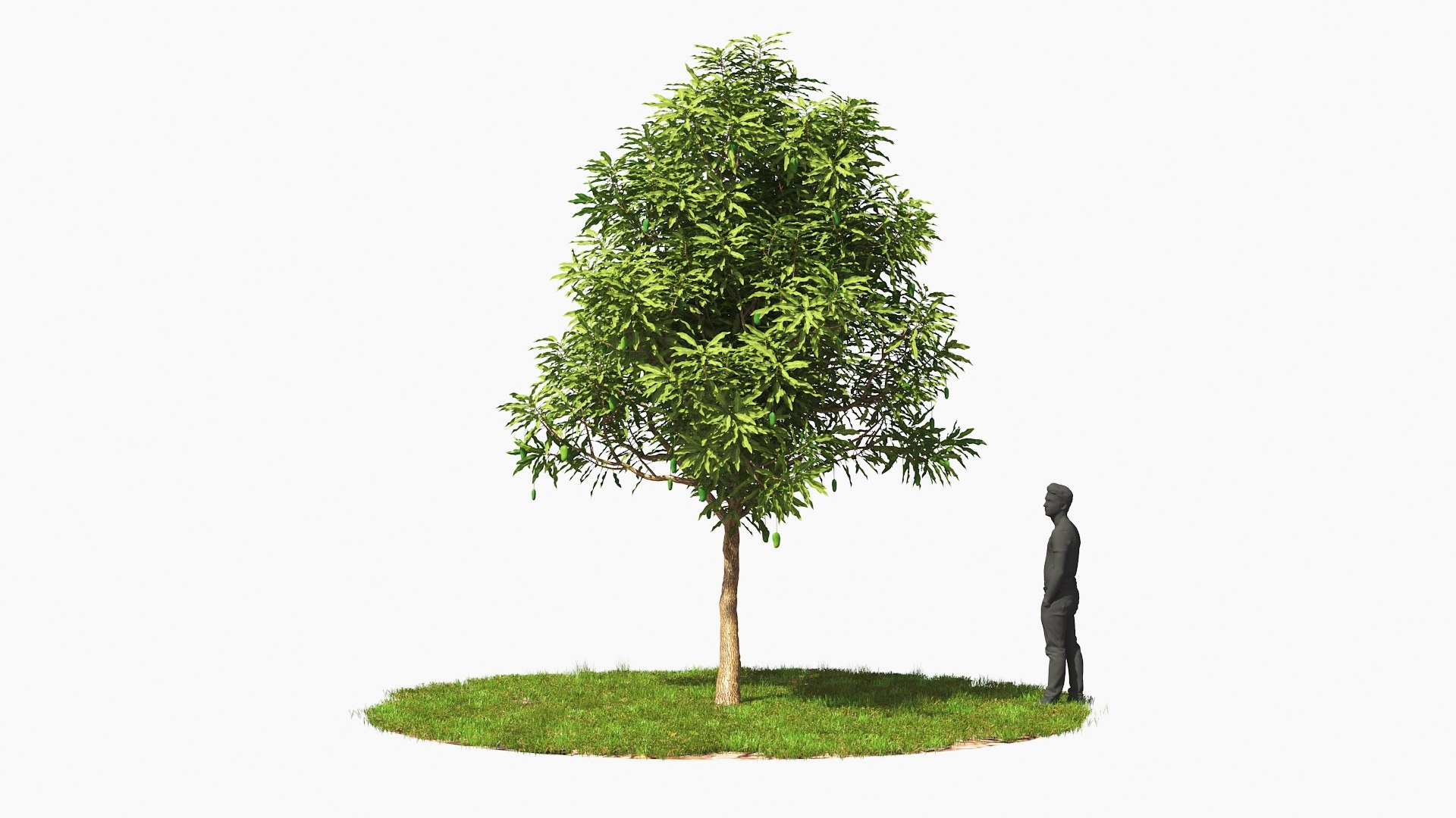 Tree Wind Animation Model - TurboSquid 1506491