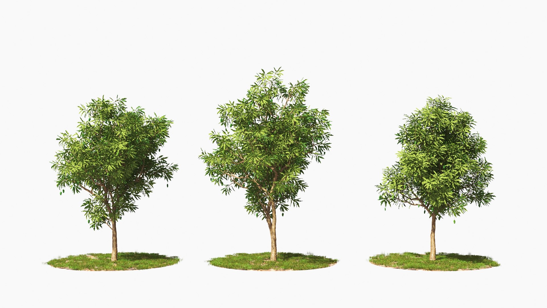 Tree Wind Animation Model - TurboSquid 1506491