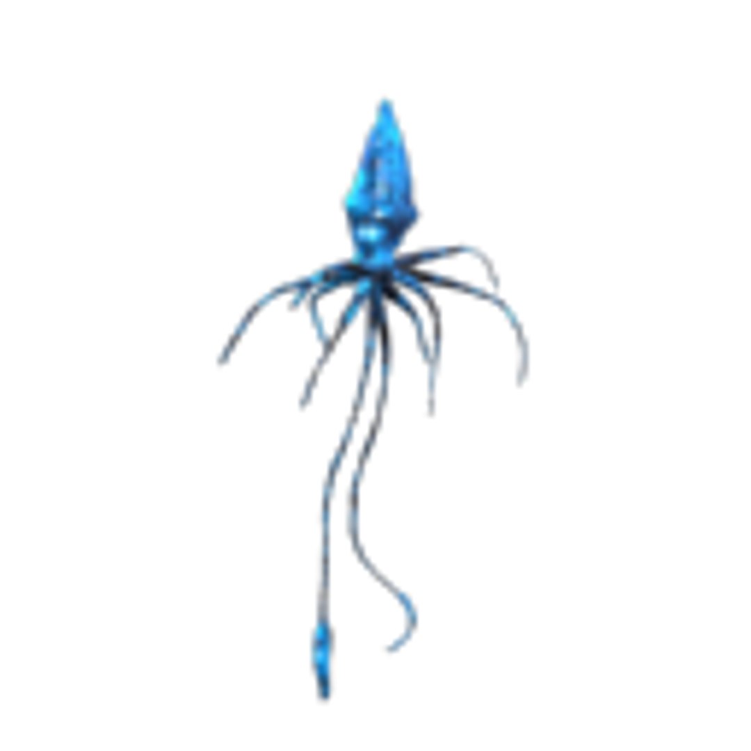 flying squid x