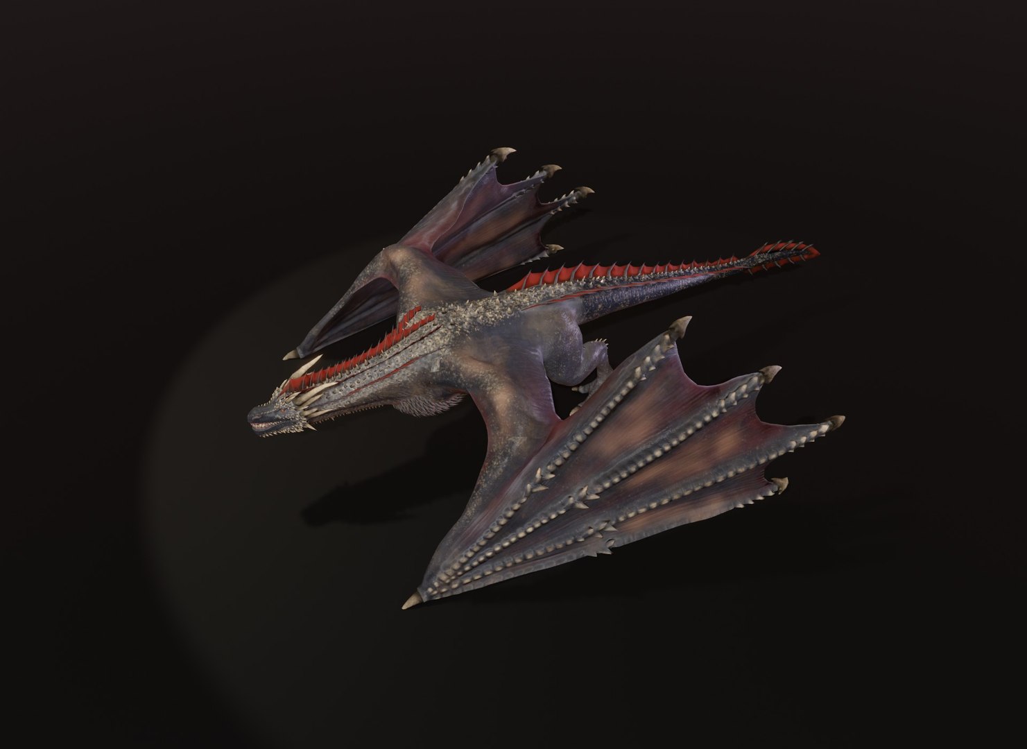Realistic Black Wyvern Animated 3D Model Model - TurboSquid 2275055