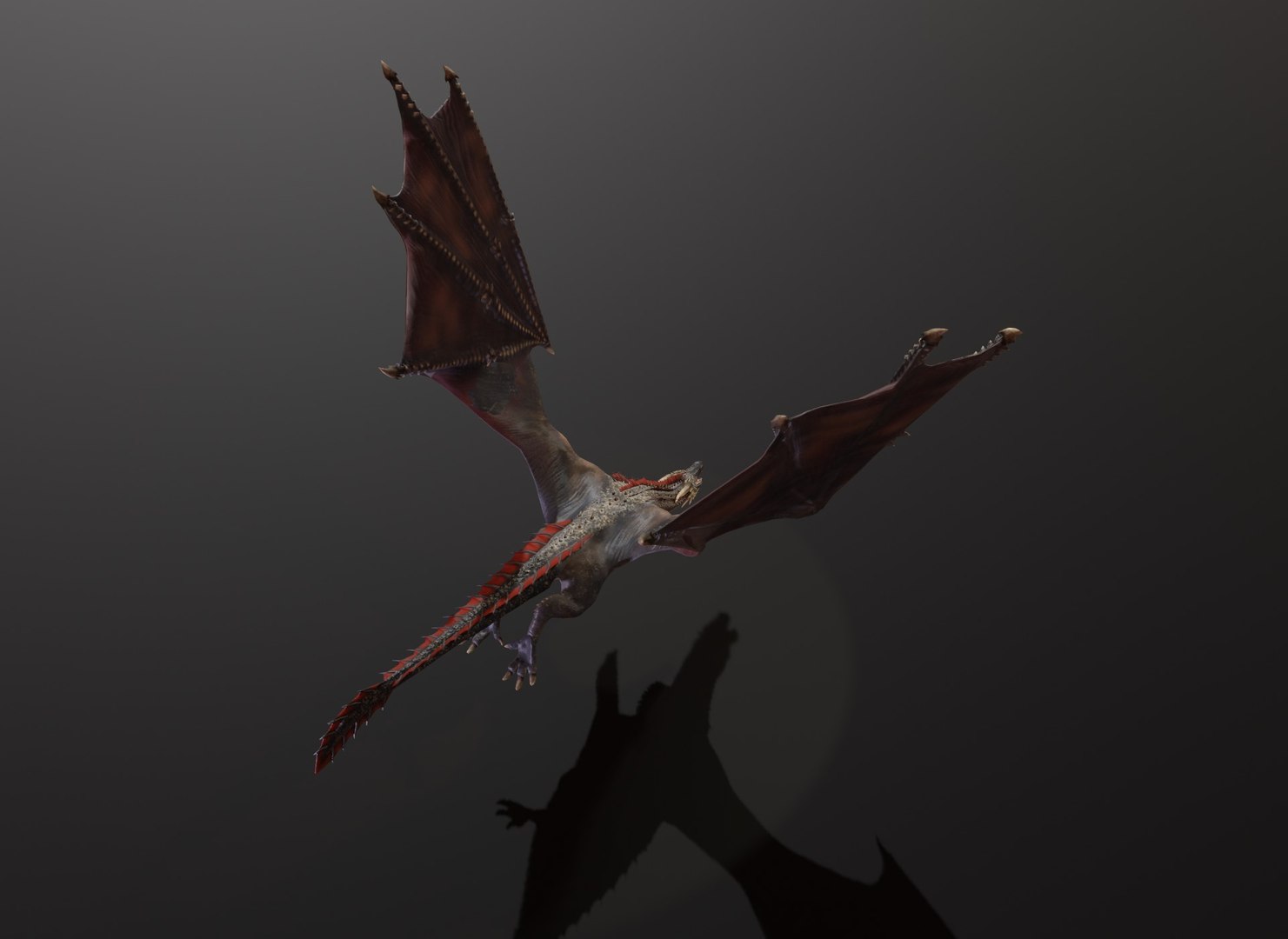 Realistic Black Wyvern Animated 3D Model Model - TurboSquid 2275055
