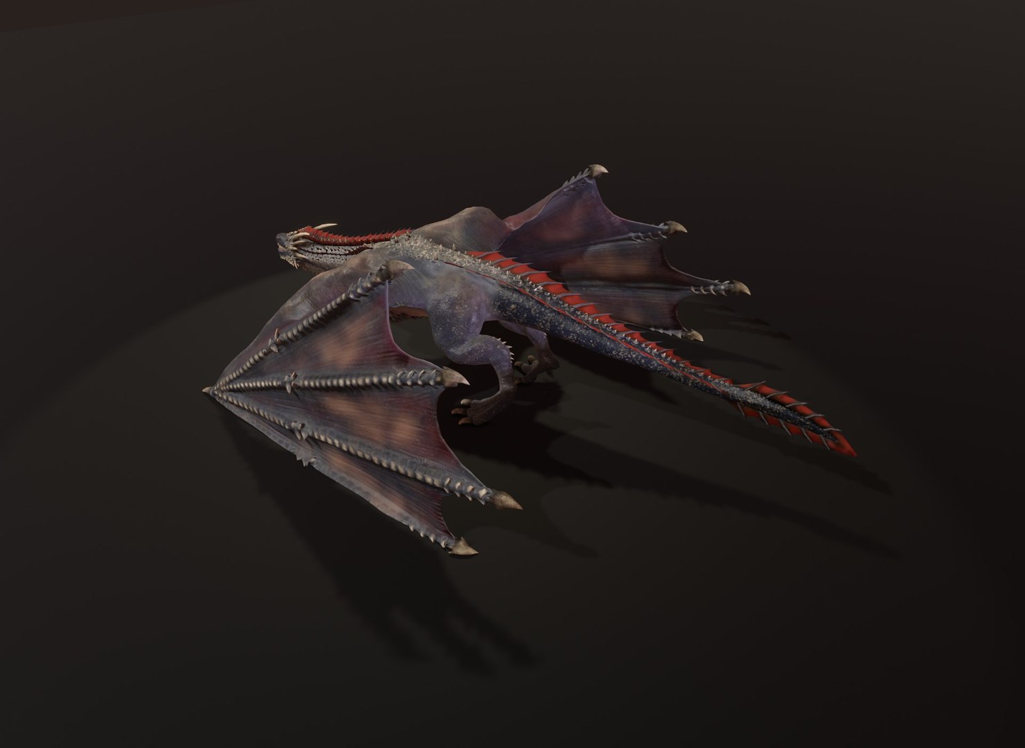 Realistic Black Wyvern Animated 3D Model Model - TurboSquid 2275055