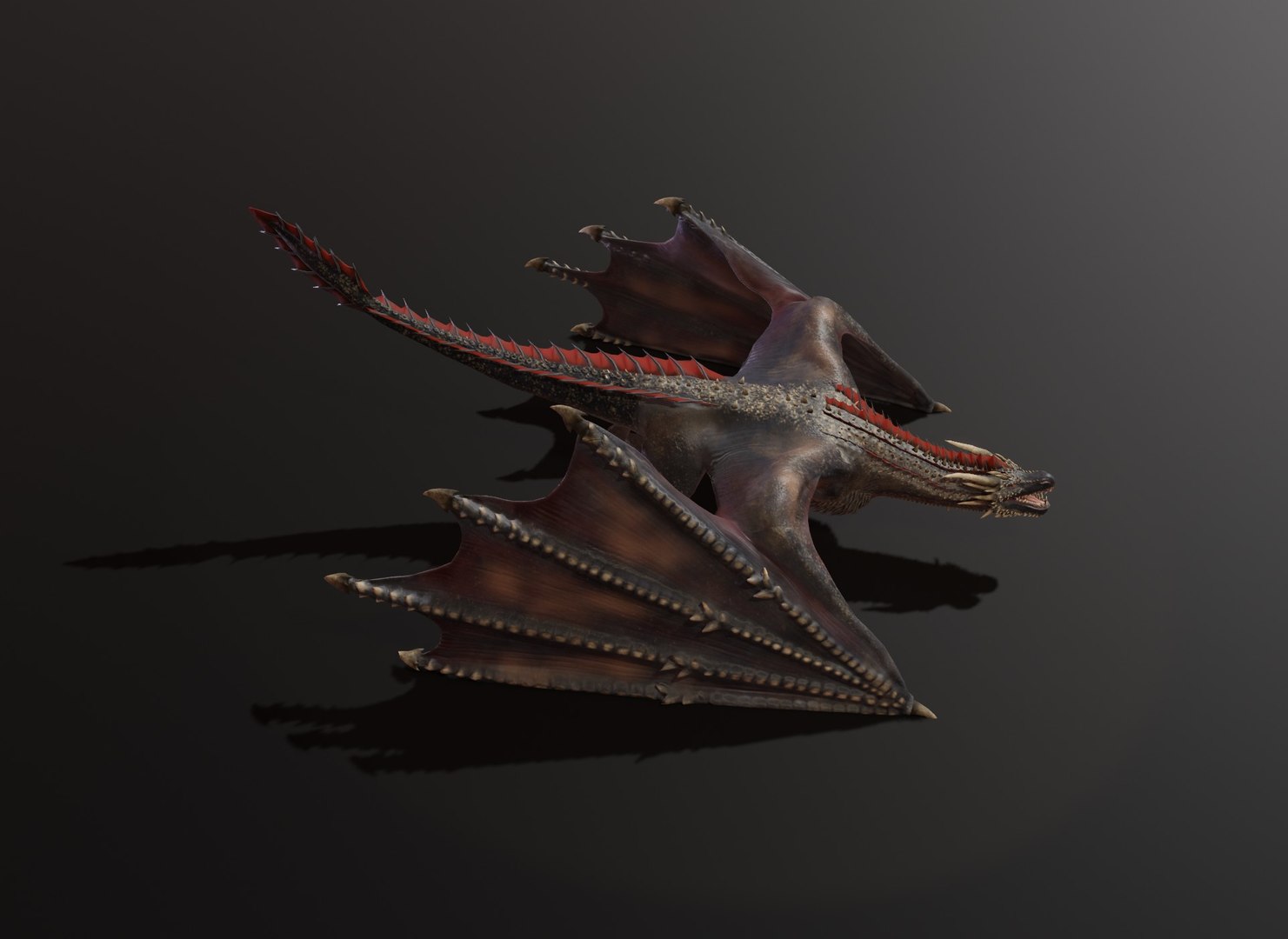 Realistic Black Wyvern Animated 3D Model Model - TurboSquid 2275055