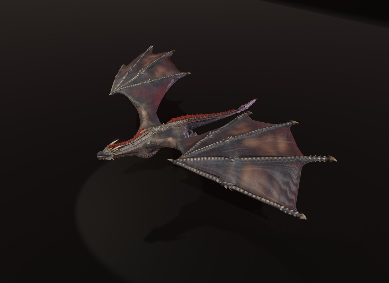 Realistic Black Wyvern Animated 3D Model Model - TurboSquid 2275055