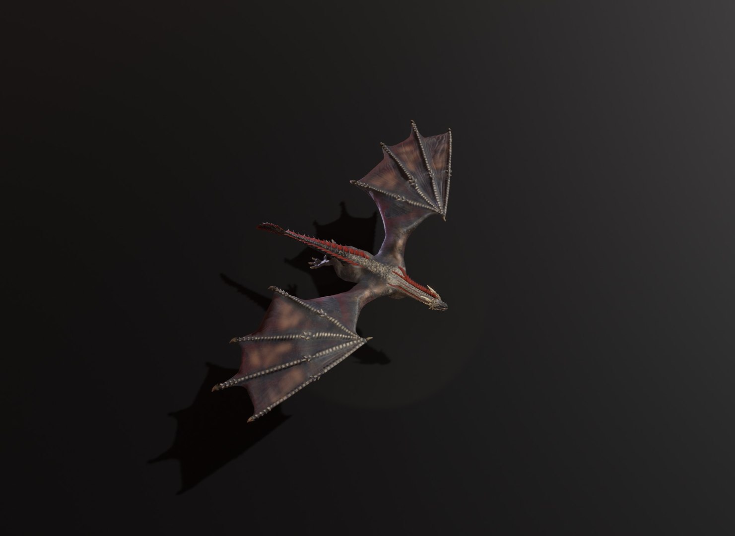 Realistic Black Wyvern Animated 3D Model Model - TurboSquid 2275055