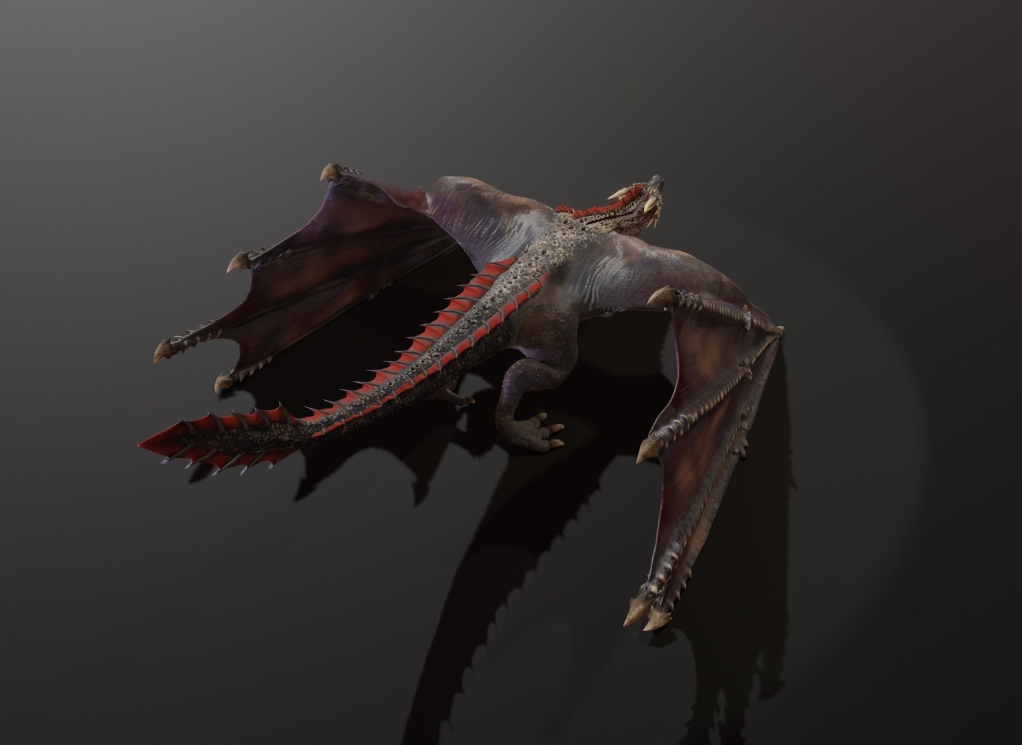 Realistic Black Wyvern Animated 3D Model Model - TurboSquid 2275055