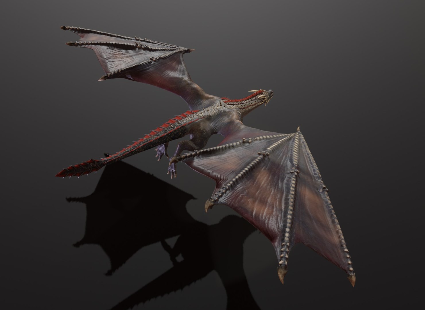 Realistic Black Wyvern Animated 3D Model Model - TurboSquid 2275055