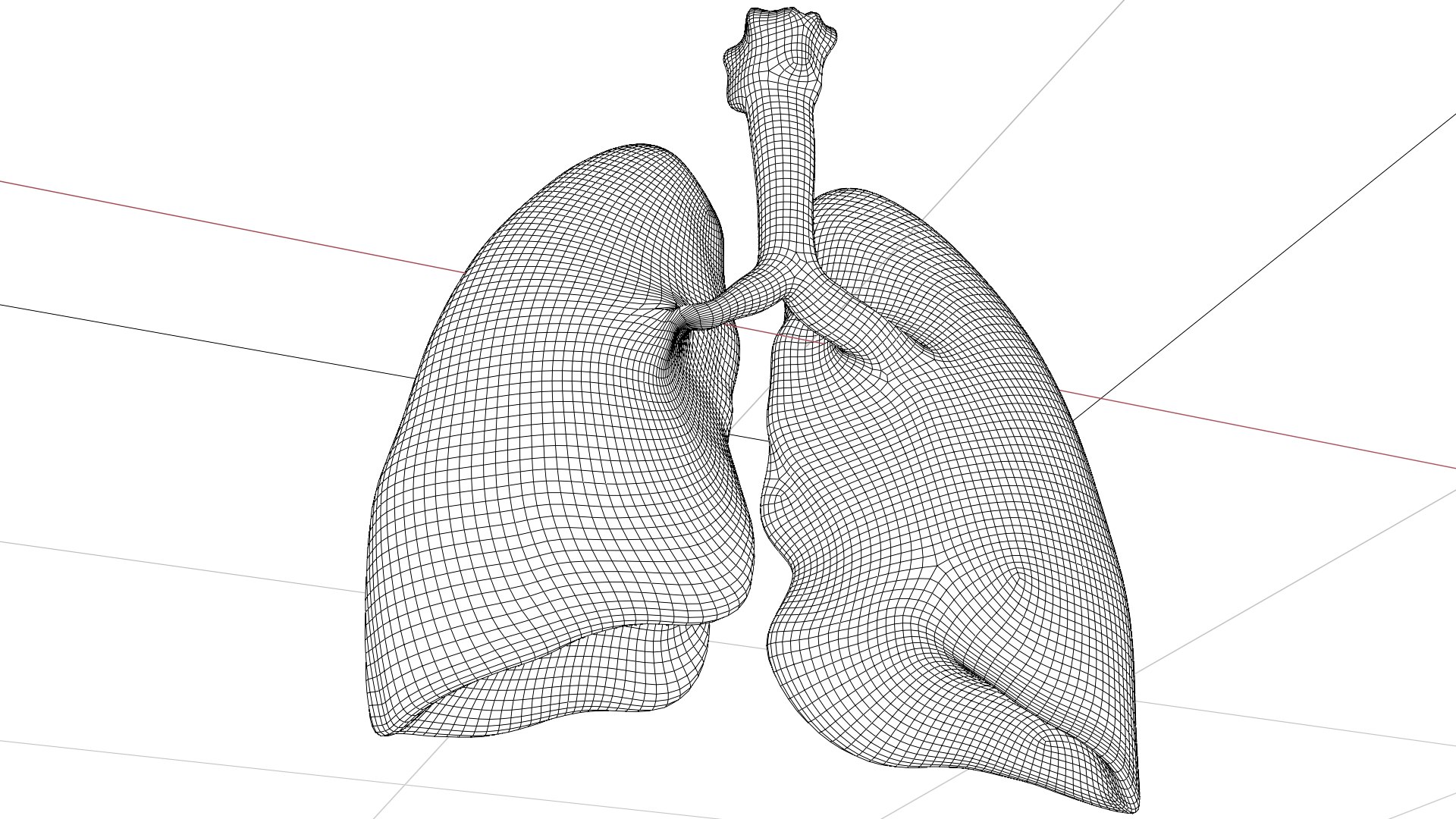 3D Realistic Human Organ Collection 3D Models - Heart ...